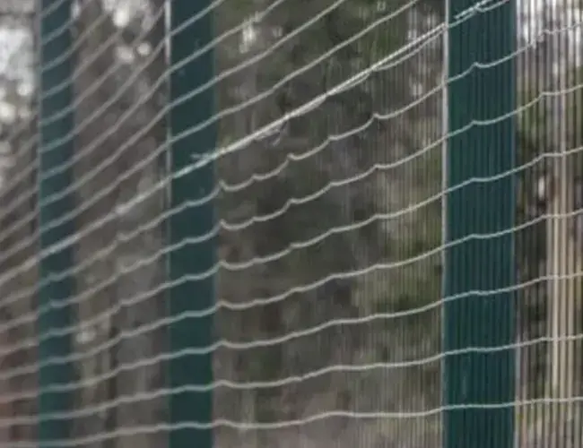 Cricket Netting | Durant Cricket | Professional Equipment